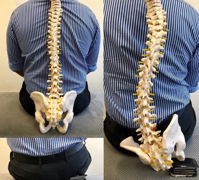 Why sitting on your wallet is bad for your back - Newbury Chiropractic ...